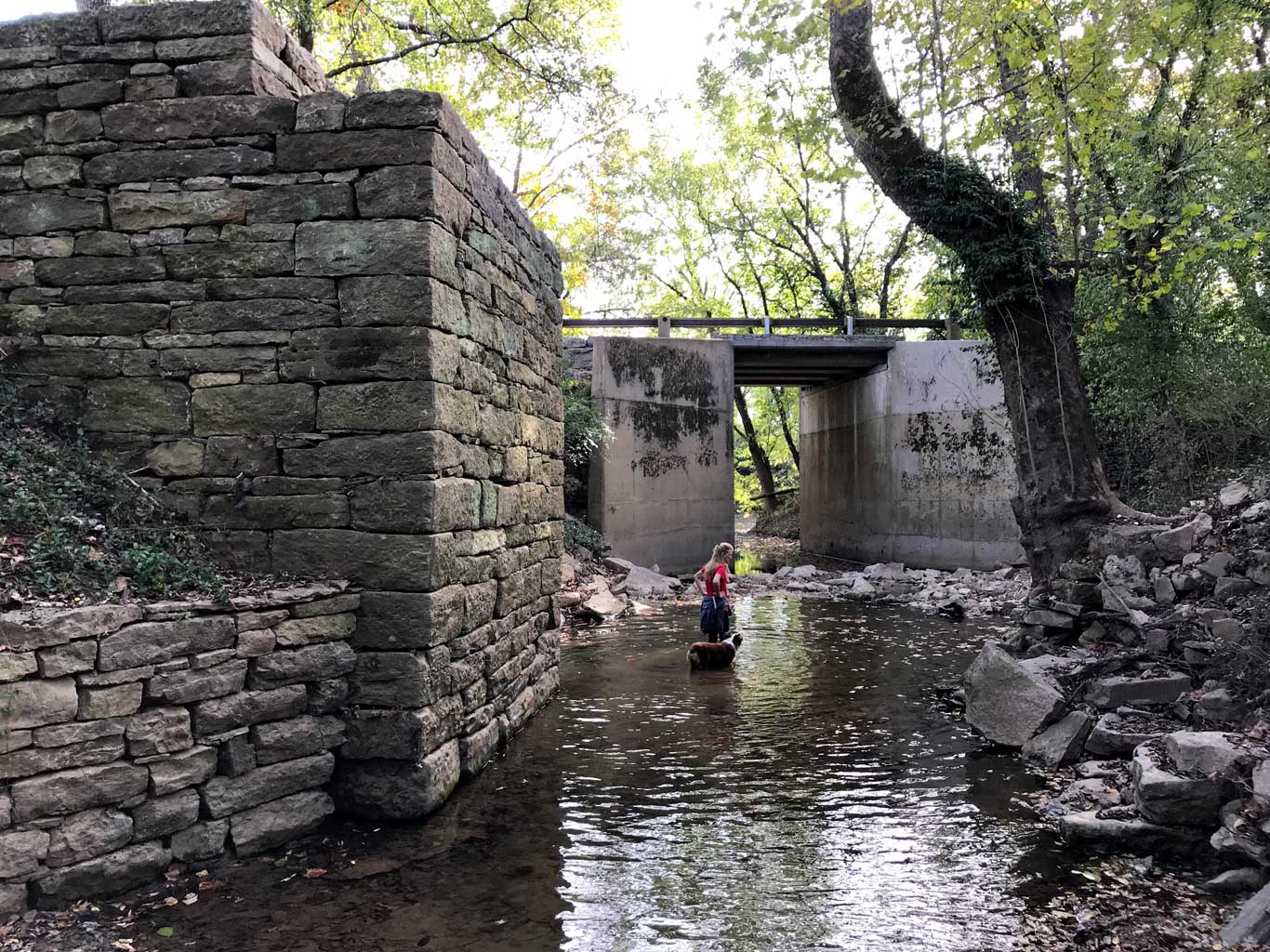 1801 Bridge | Old Town