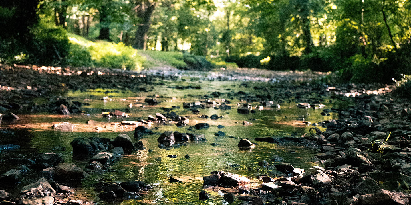 River and Creek | Old Town
